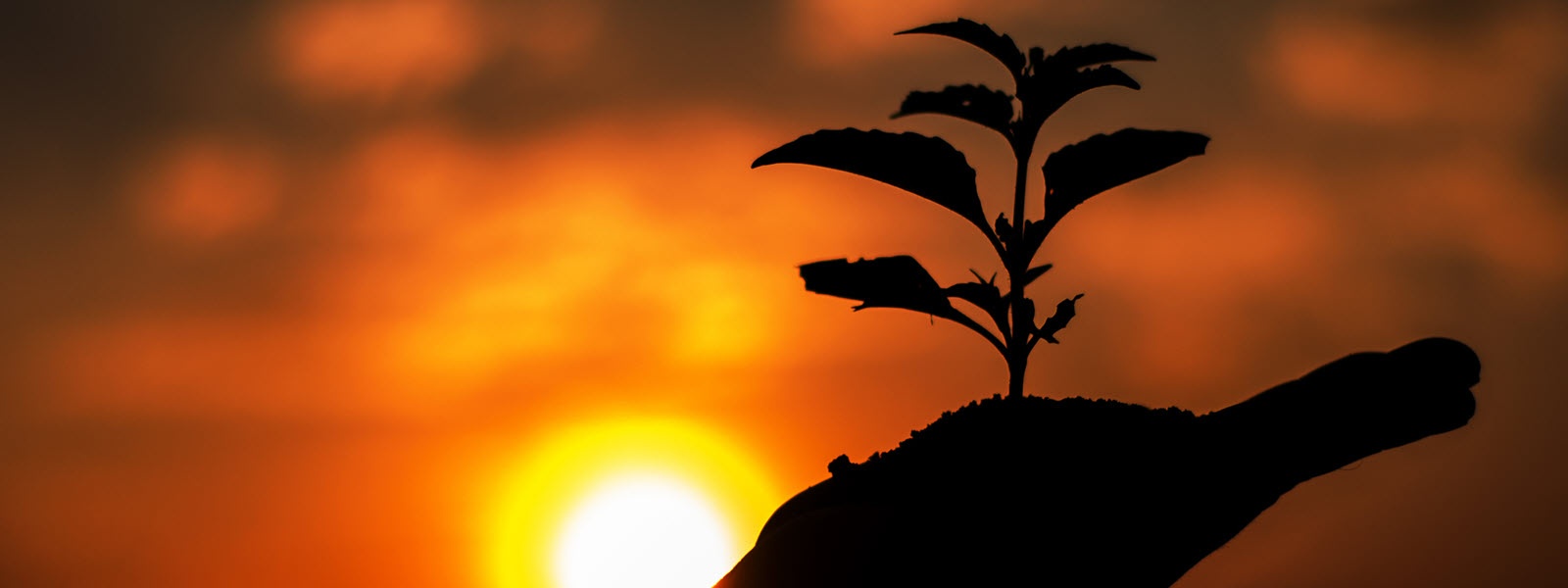 Our Commitments to ESG at Workday | Workday US